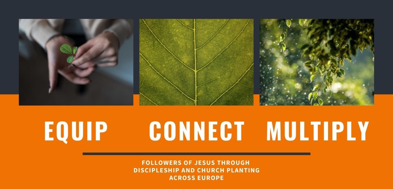 Home - ECM International